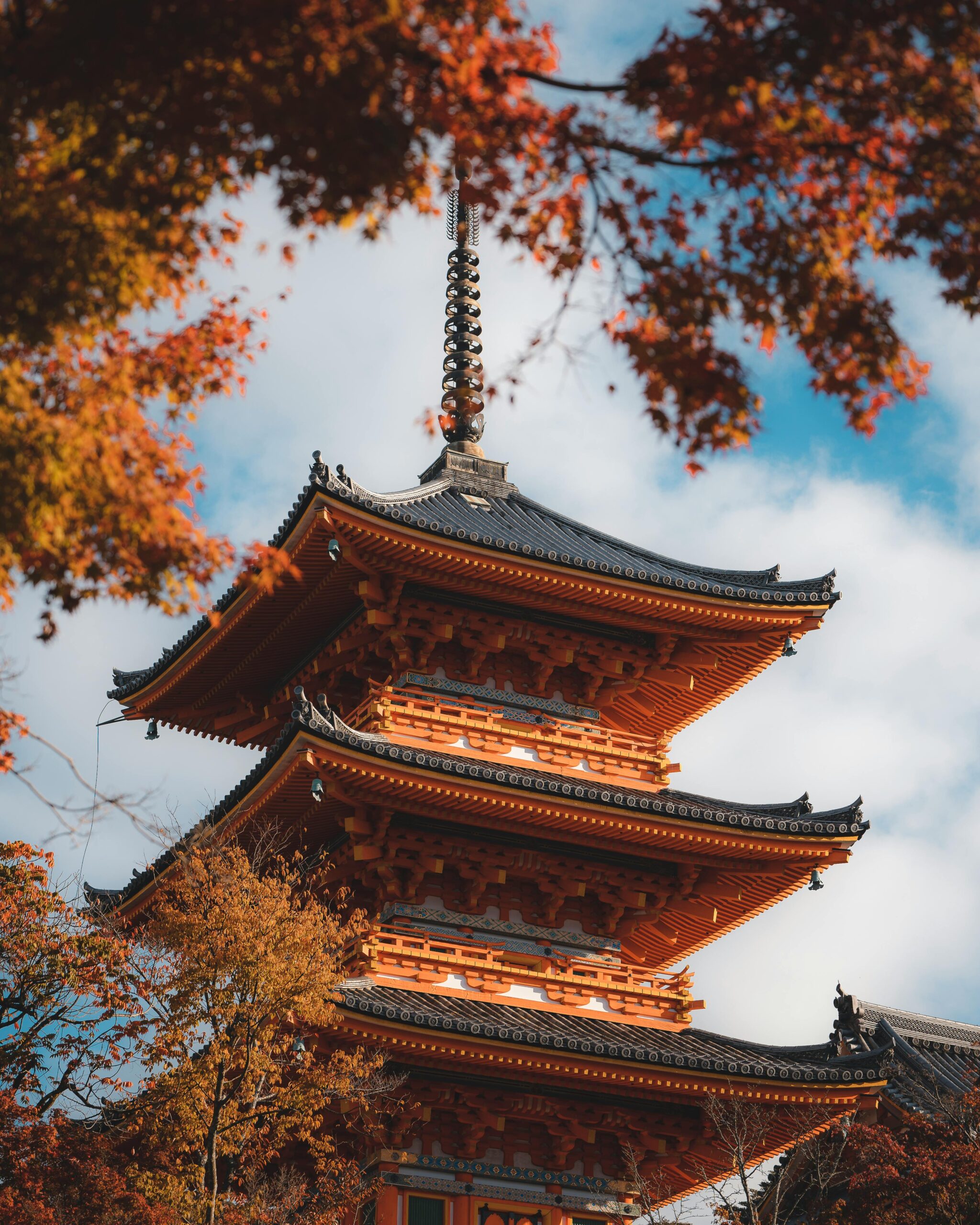 Deep Japan | Local Travel Tips & Culture Hub | Write For Us