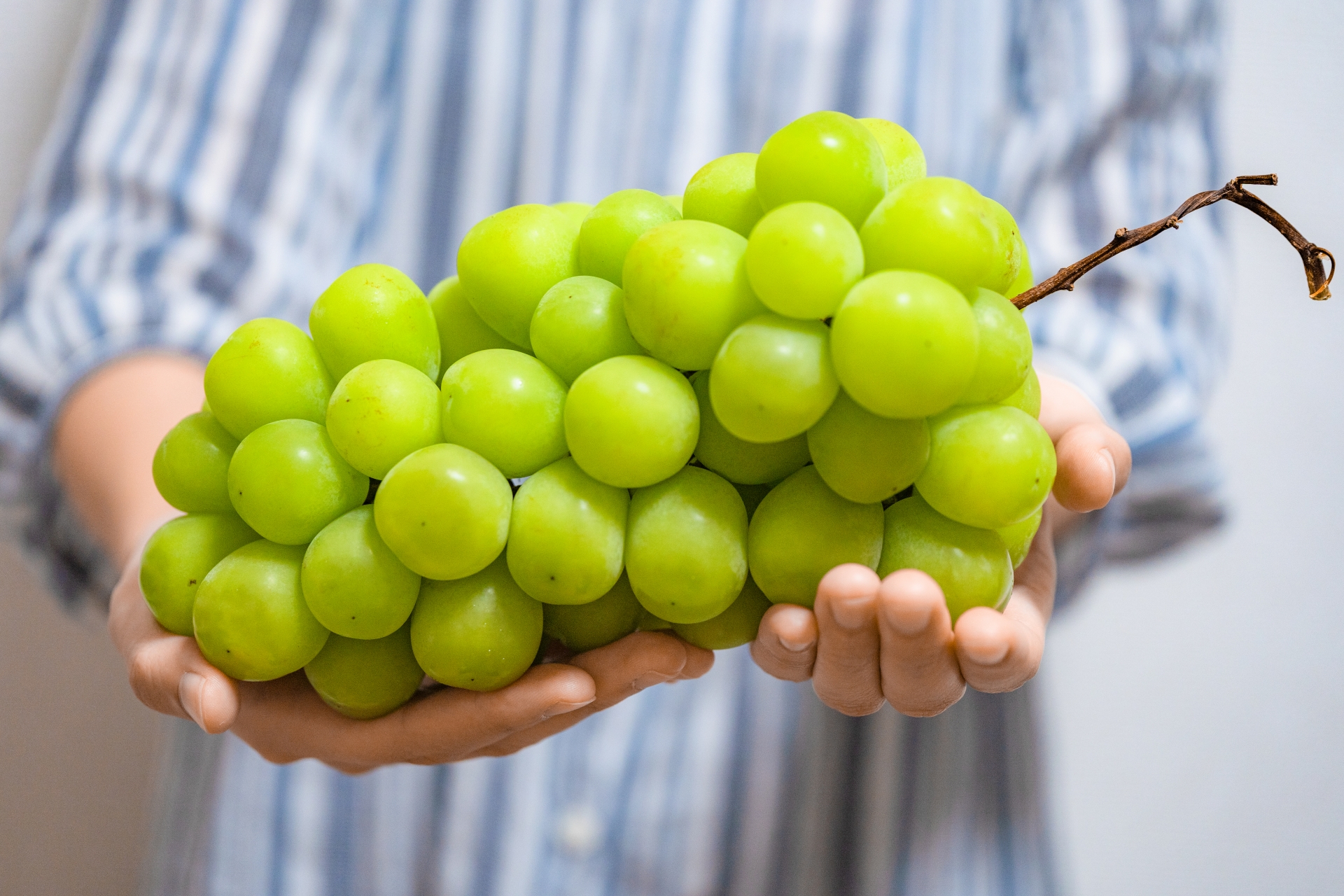 Exploring Japan’s Premium Fruits And Traditions | Deep Japan