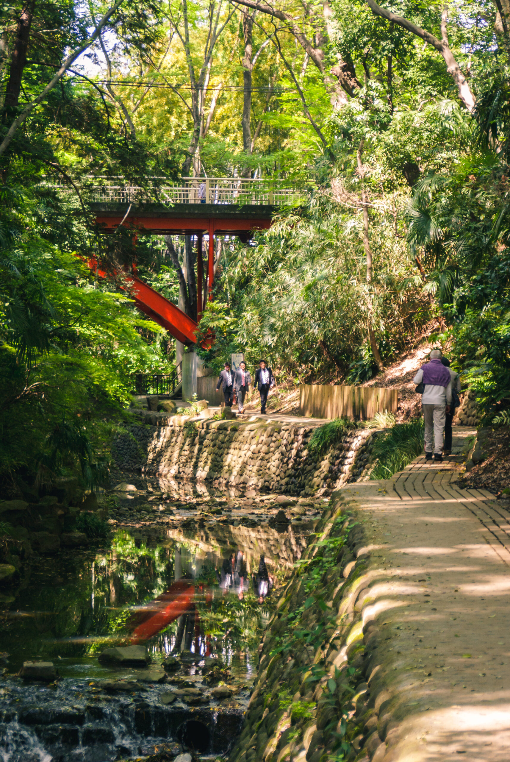Lush, Green, And Wild: Welcome To Todoroki Valley | Deep Japan