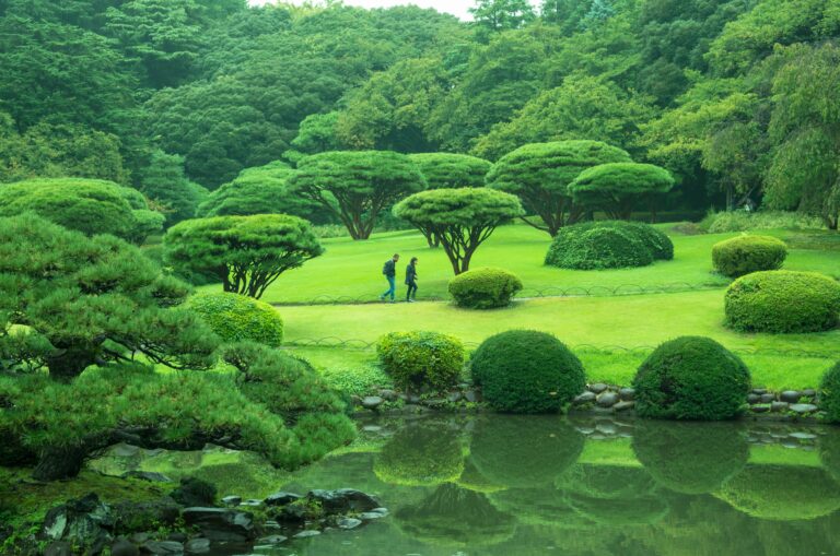Japan’s Blue-green Mystery: A Window Into A Different Way Of Seeing ...