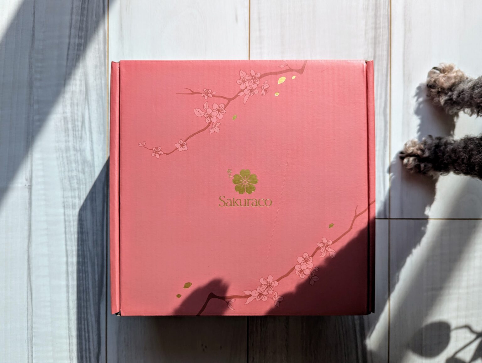 Sakuraco Snack Box Review: An Authentic Taste Of Japan, Wherever You ...