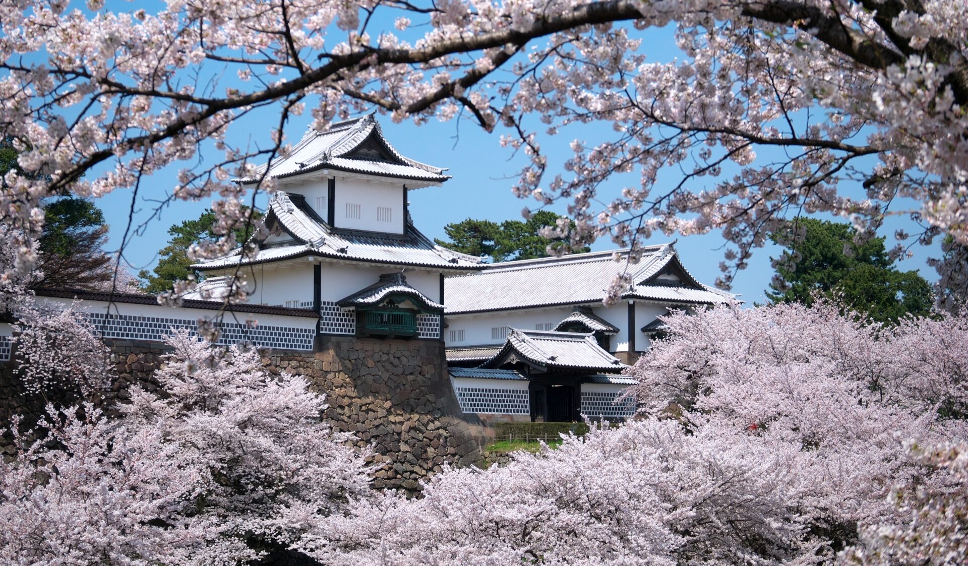 Springtime Strolls In Kanazawa: Sakura, Seafood, And Gold Leaf Ice ...